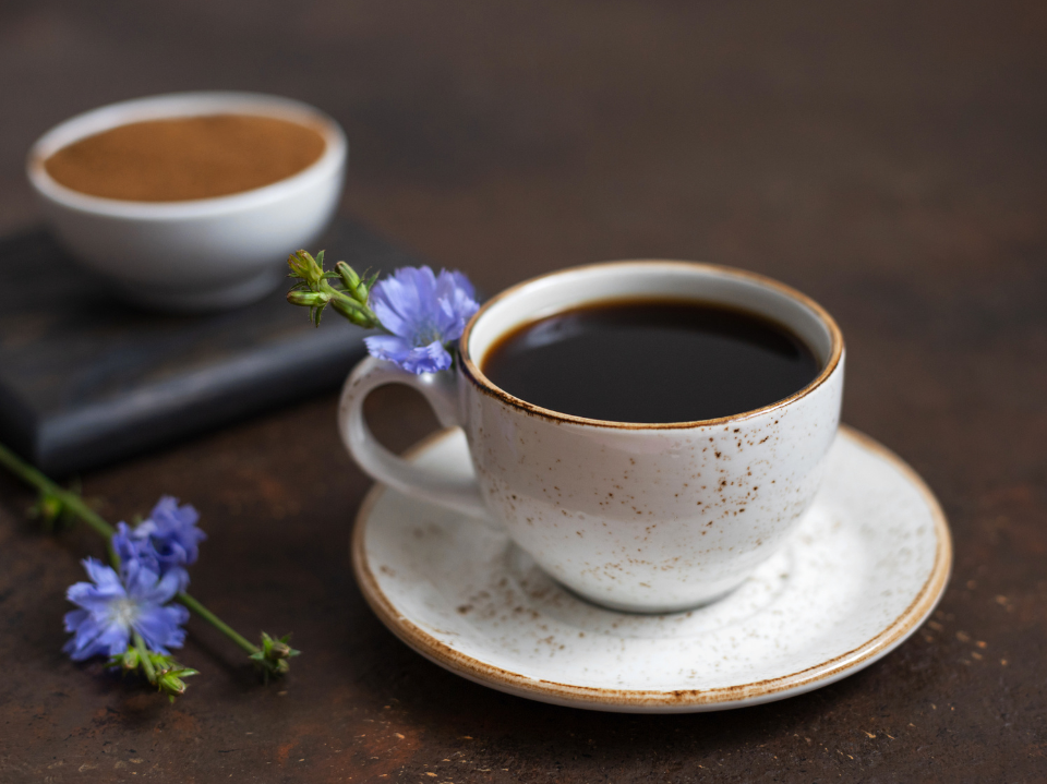 What Is Chicory Coffee? | Primo Caffe
